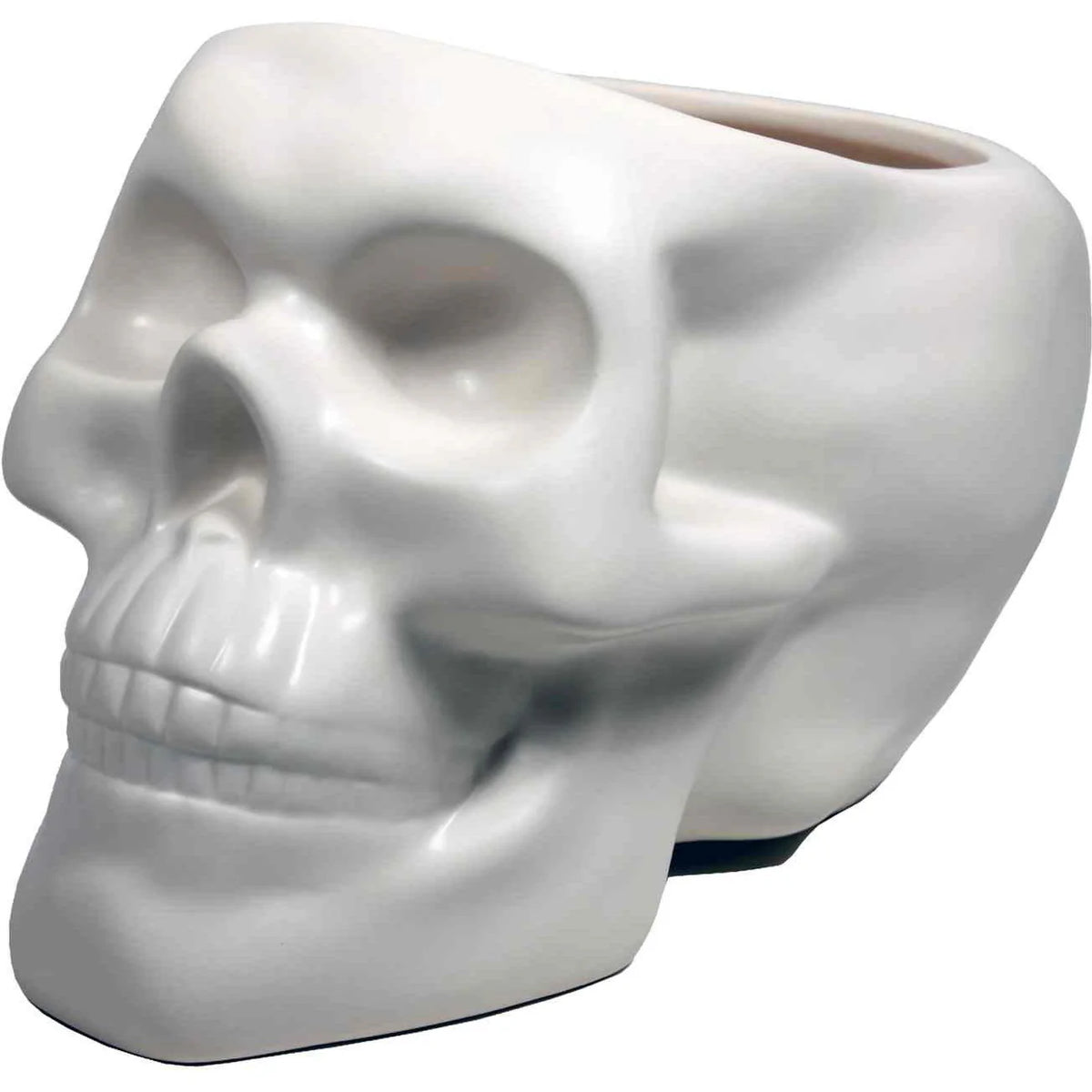 Bone Skull Planter – Circa Boutique + Gifts